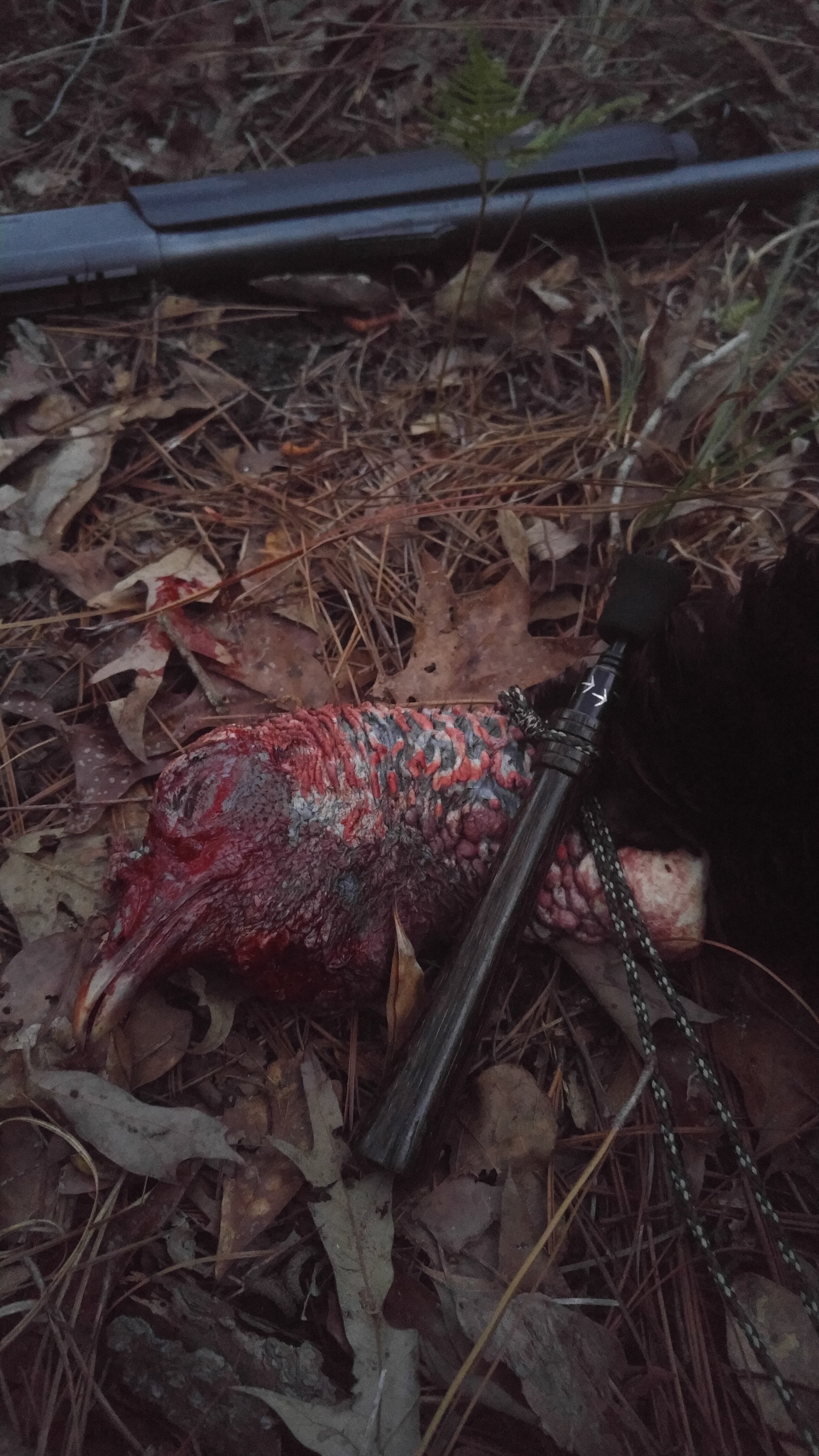 Turkey Trumpet Calls – Page 2 – Prairie Game Calls